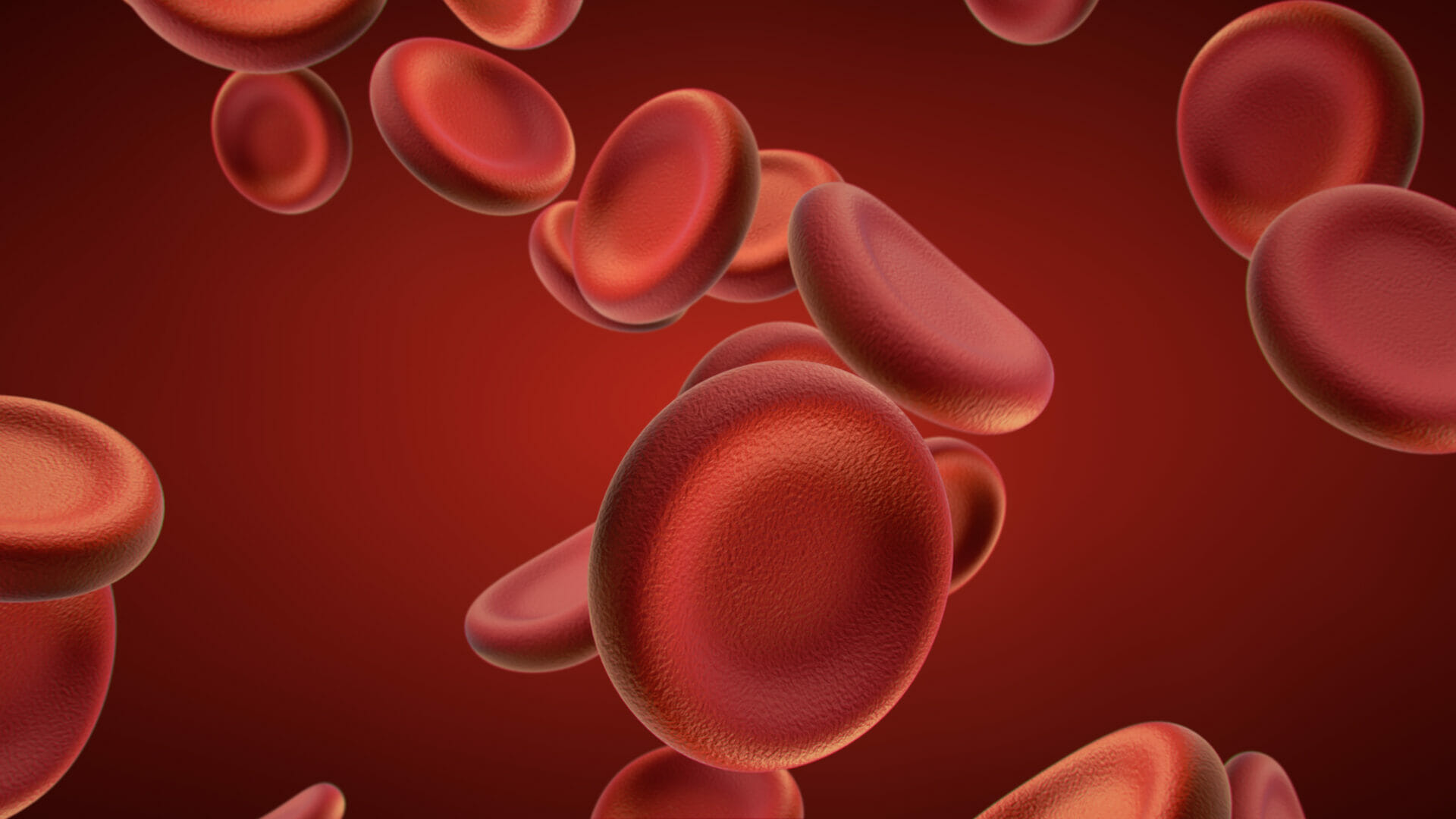 Red Blood Cell Count - all you need to know - Una Health